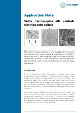 Application-Note-Mitochondria-2 - Media System Lab