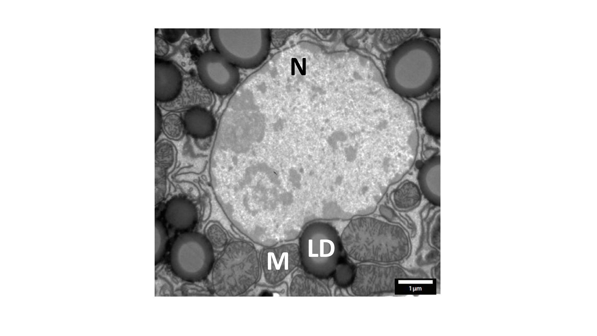 ArtTech-SLDA-Figures_pages-to-jpg-0001 - Media System Lab
