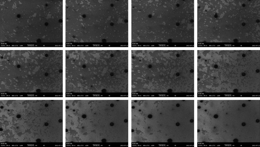 SEM Microscopio elettronico Coxem - Media System Lab